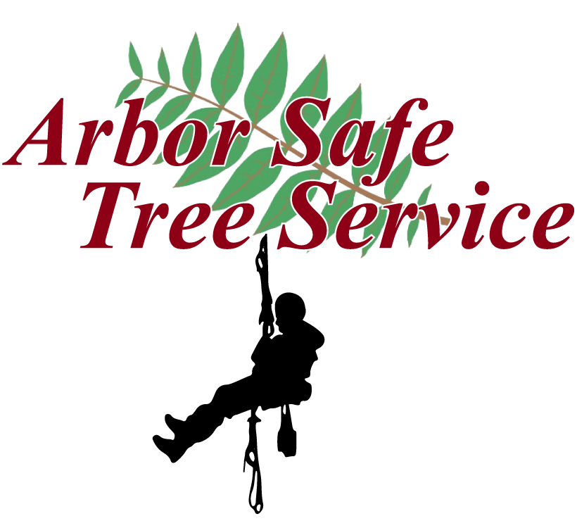 Home - Arbor Safe Tree Service